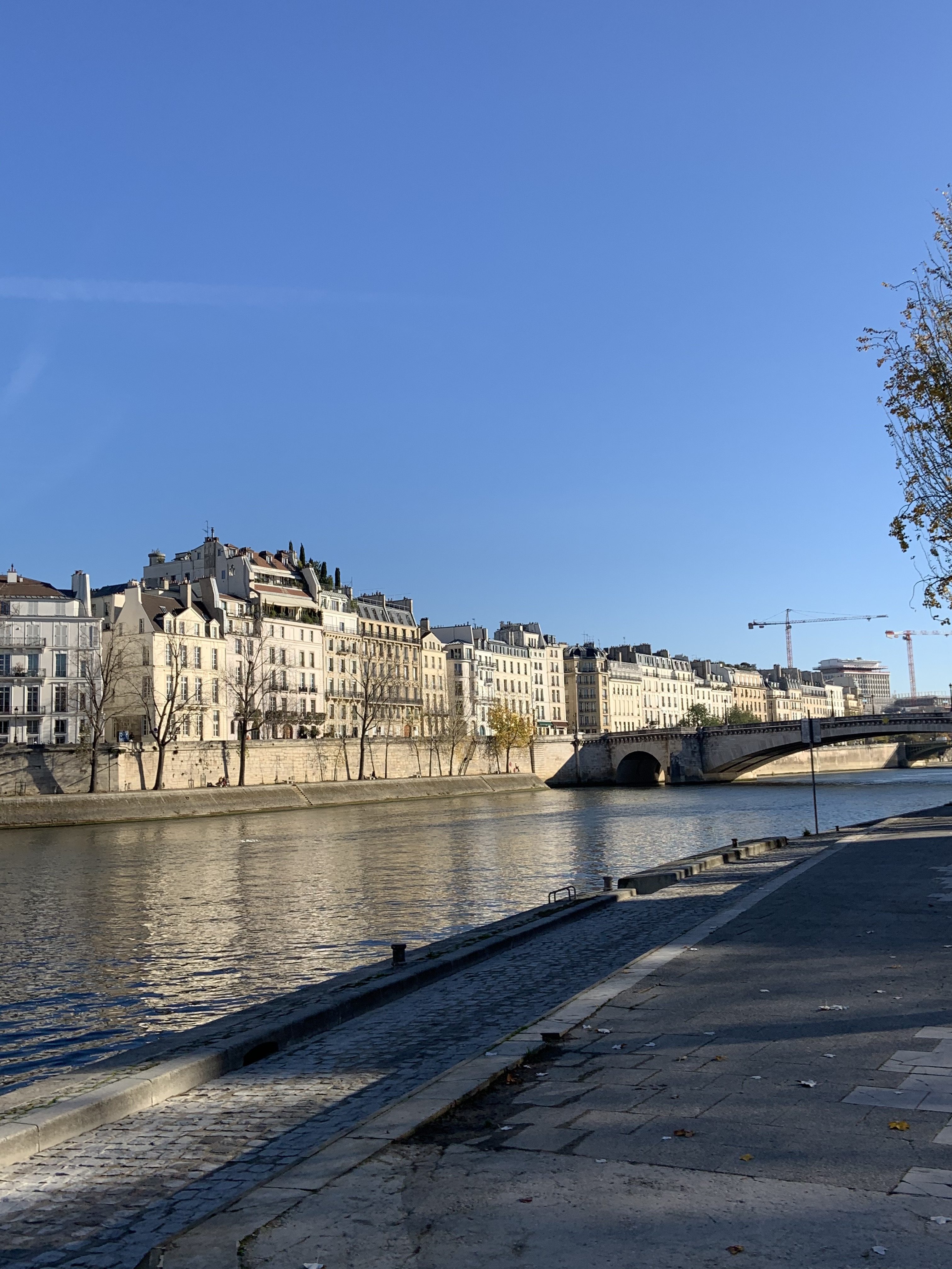 The Pearl of Paris: A closer look at the Île Saint-Louis - The Earful Tower
