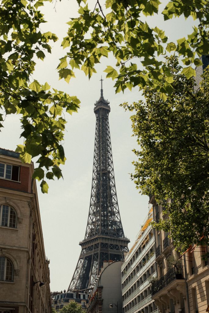 Eight breathtaking venues for the Paris Olympics - The Earful Tower