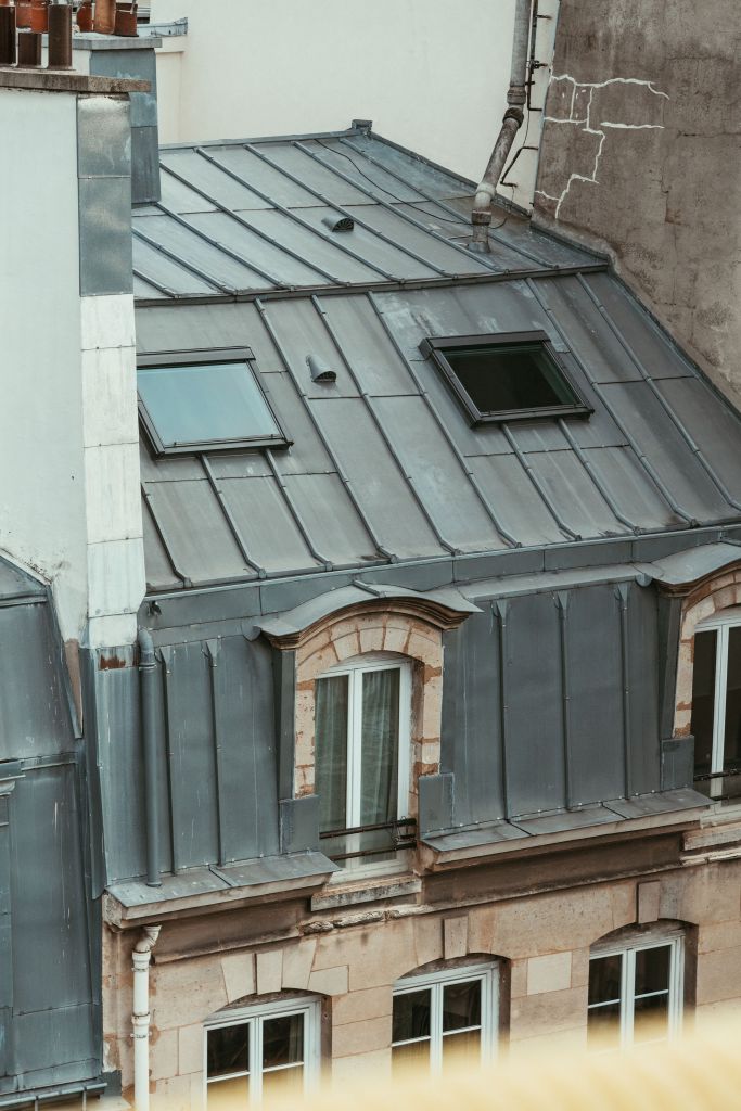 Zinc rooftops of Paris: A closer look at the iconic roofscape - The ...